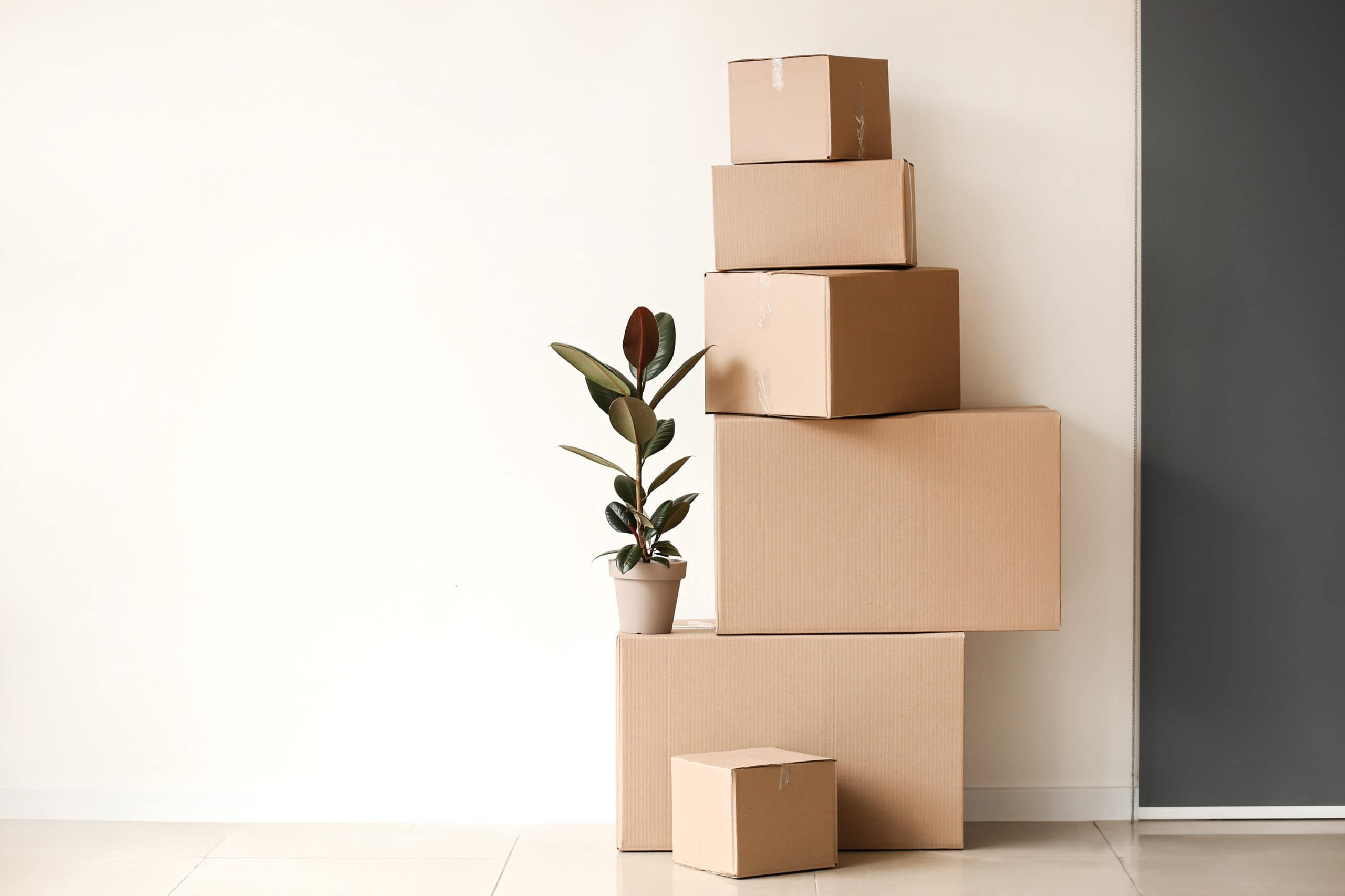 Fun Ways to Repurpose Moving Boxes - Mesa Moving and Storage