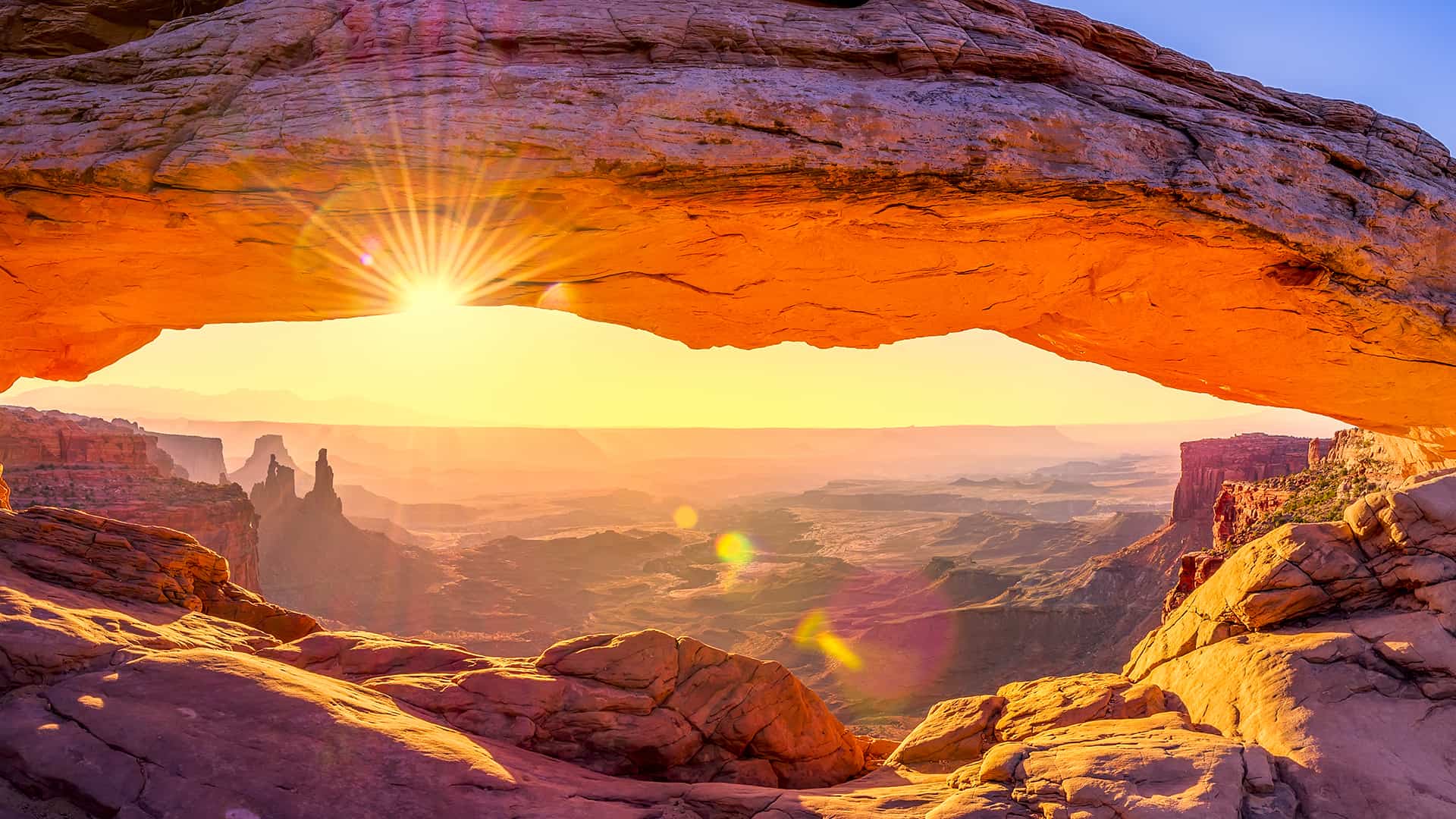 About - Mesa Moving and Storage