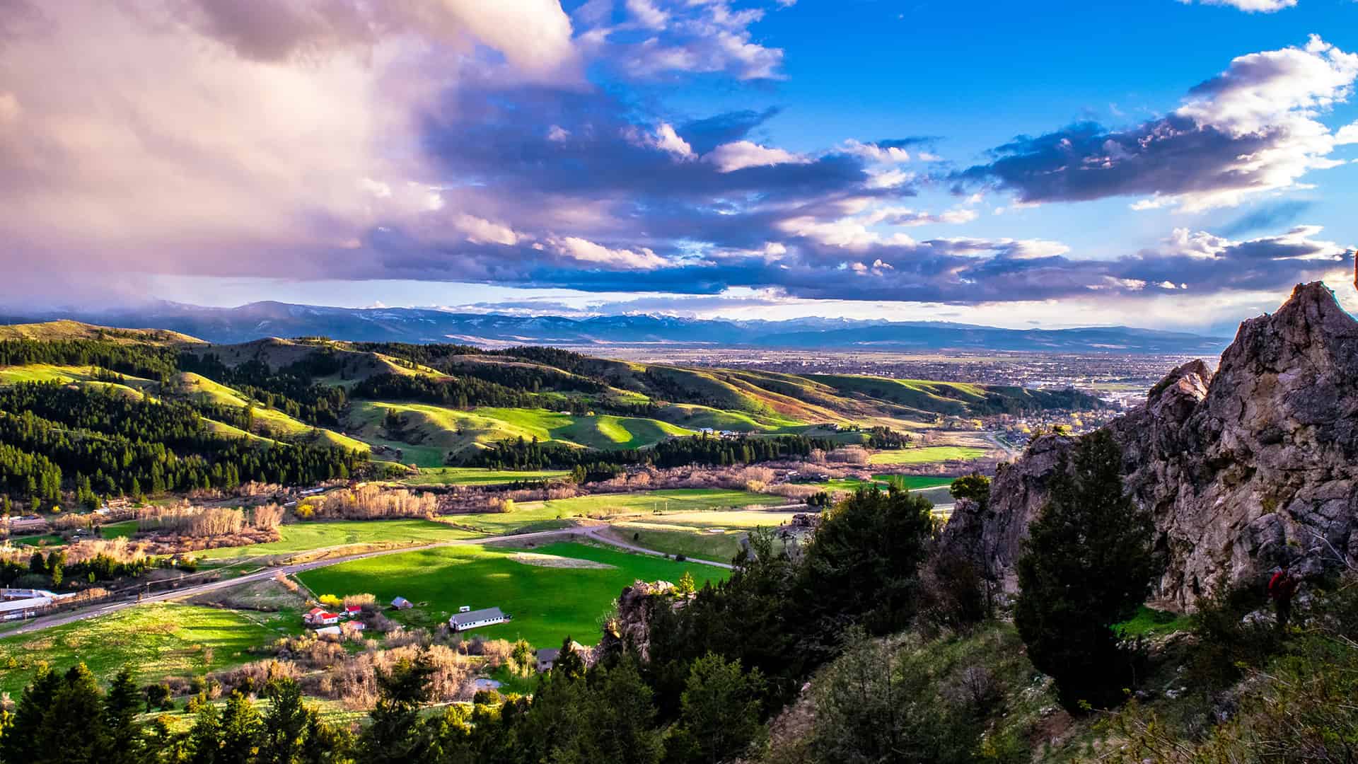 Locations - Mesa Moving and Storage