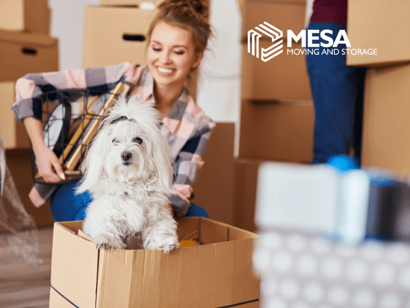 Moving With Pets Tips Tricks Mesa Moving And Storage